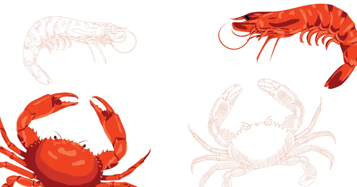 Devez-vous commencer à manger de la chitine