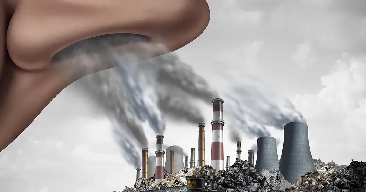 Une étude révélatrice sur le danger généralisé d'intoxication au plomb