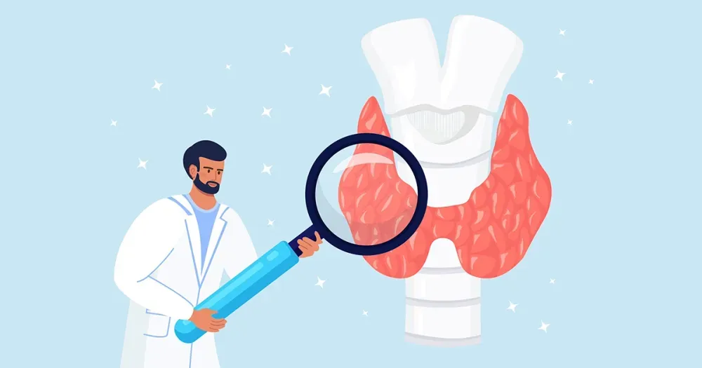 Vos glandes surrénales affectent-elles votre thyroïde