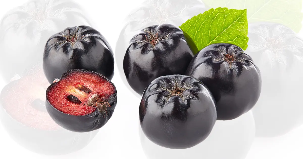 Quels sont les bienfaits de l'aronia pour la santé